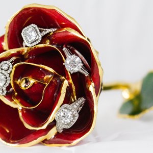 SEYBOLD BUILDING - 91 Photos & 14 Reviews - Jewelry - 36 NE 1st St ...