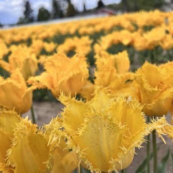 KNUTSON FARMS - Updated August 2025 - 154 Photos & 41 Reviews - 16406 ...