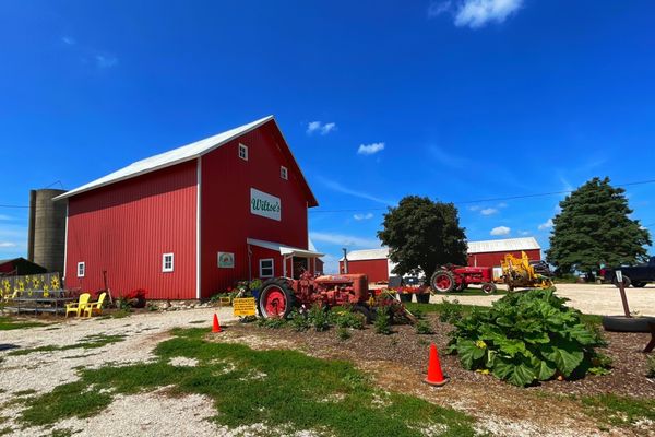 WILTSE’S FARM - Updated May 2026 - 58 Photos & 26 Reviews - 50W379 Rt ...