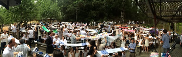 URJ CAMP NEWMAN - Updated October 2025 - 41 Photos & 20 Reviews - 4088 ...