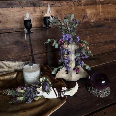 SIDESHOW GALLERY - Updated January 2026 - 64 Photos & 30 Reviews - 2219 ...