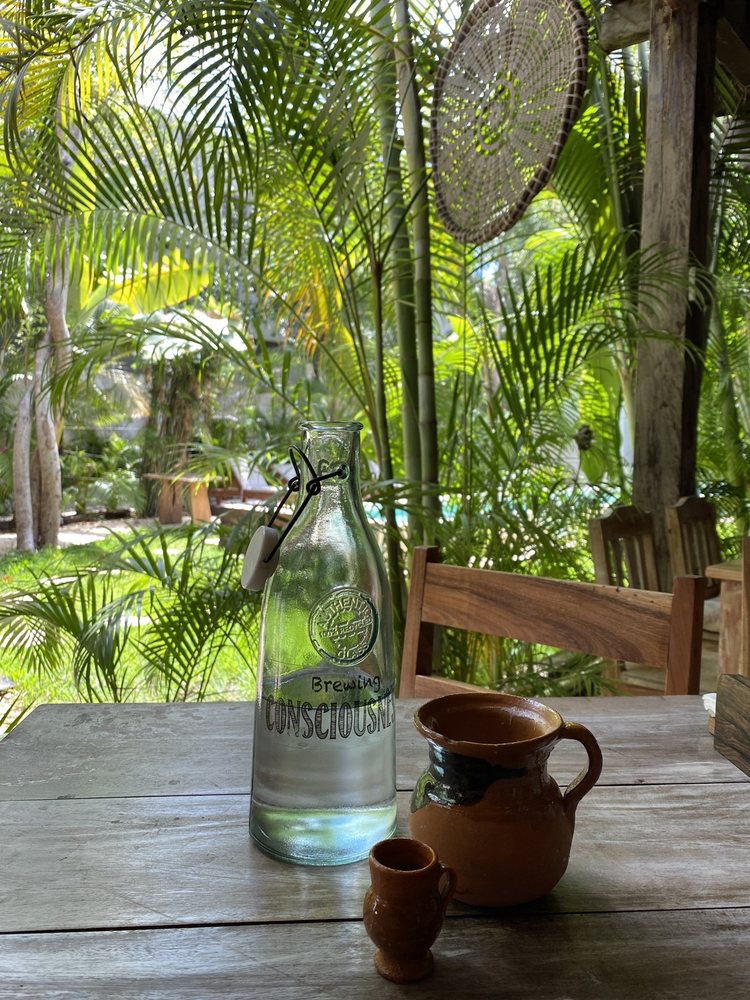 BREW TULUM SPECIALTY COFFEE EXPERIENCE - Updated June 2024 - 15 Photos ...