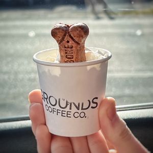 BEEHIVE ESPRESSO - Updated September 2025 - 74 Reviews - 17716 Bothell ...