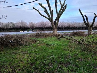 NORCAL FIREWOOD AND TREE SERVICE - Updated November 2025 - 10 Reviews ...