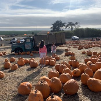 RODONI FARMS - Updated January 2026 - 151 Photos & 34 Reviews - 4444 ...