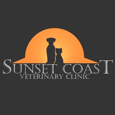 SUNSET COAST VETERINARY CLINIC - Updated August 2025 - 10 Photos - 4091 ...