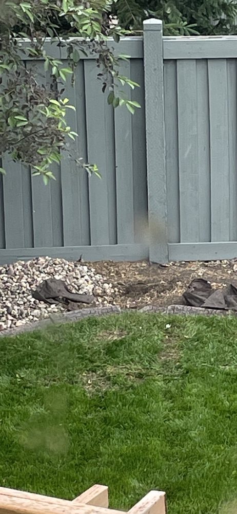 ZENITH TREE SERVICES - Updated June 2025 - Edmonton, Alberta - Tree ...