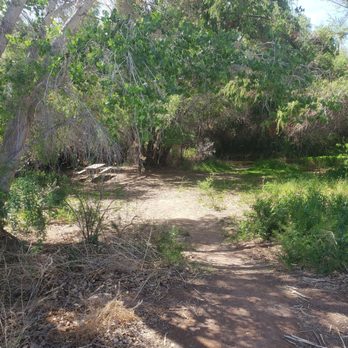 TRES RIOS WETLANDS - Updated October 2025 - 43 Photos - Phoenix ...