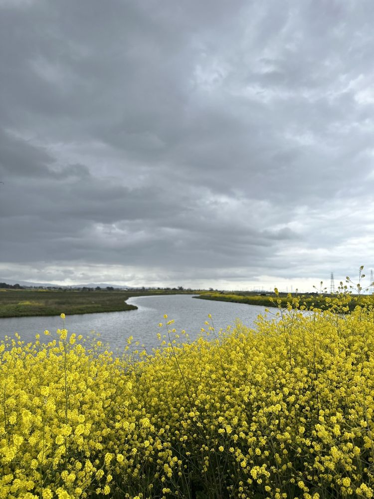 BAYLANDS PARK TRAIL - Updated November 2025 - 380 Photos & 129 Reviews ...