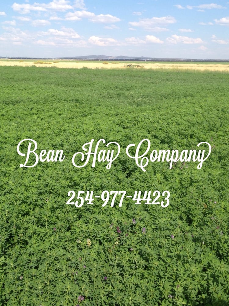 BEAN HAY COMPANY - Updated October 2025 - Weatherford, Texas ...