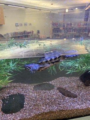 KENT DISTRICT LIBRARY - EAST GRAND RAPIDS BRANCH - Updated December ...