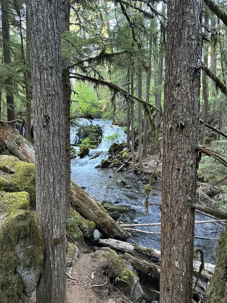 PROSPECT HISTORIC HOTEL AND DINNER HOUSE - Updated December 2025 - 55 ...