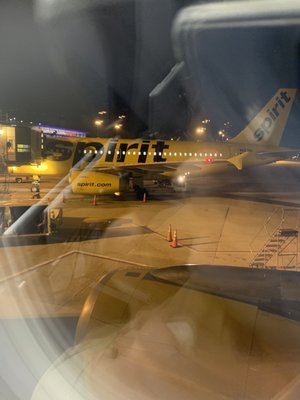 SPIRIT AIRLINES - 75 Photos & 1233 Reviews - 2800 Executive Way ...