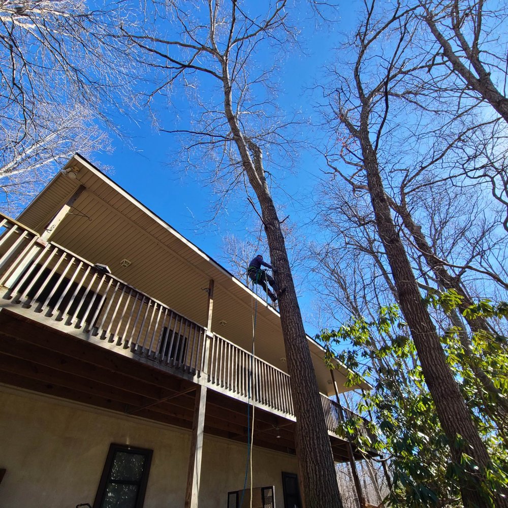 MT AIRY TREE SERVICE - Updated November 2024 - Request a Quote - 154 N ...