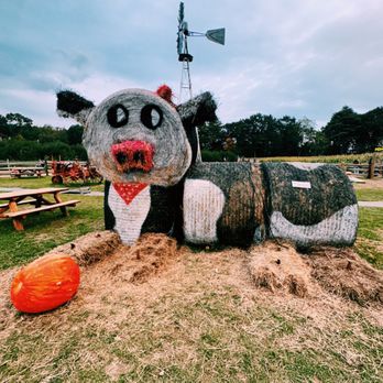 CONNORS FARM - Updated February 2025 - 199 Photos & 324 Reviews - 30 ...