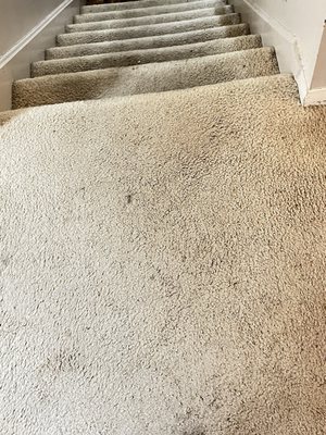 Tom Drexler - Updated January 2026 - 63 Photos - 225 Reviews - 3718 ...