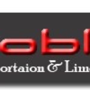 THE GENIE TRANSPORTATION SERVICES - Updated November 2025 - 14 Photos ...