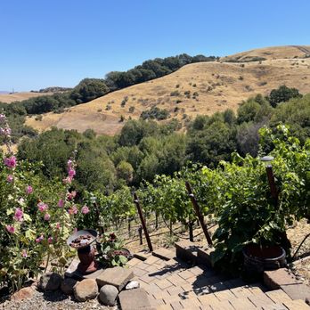 CAPTAIN VINEYARDS - Updated October 2025 - 125 Photos & 87 Reviews ...