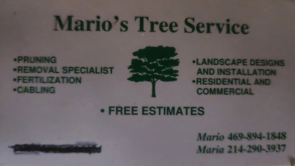 MARIO TREE SERVICE - Updated July 2025 - Dallas, Texas - Tree Services ...
