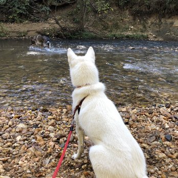 ALUM SPRING PARK - Updated December 2025 - 24 Photos & 24 Reviews - 99 ...