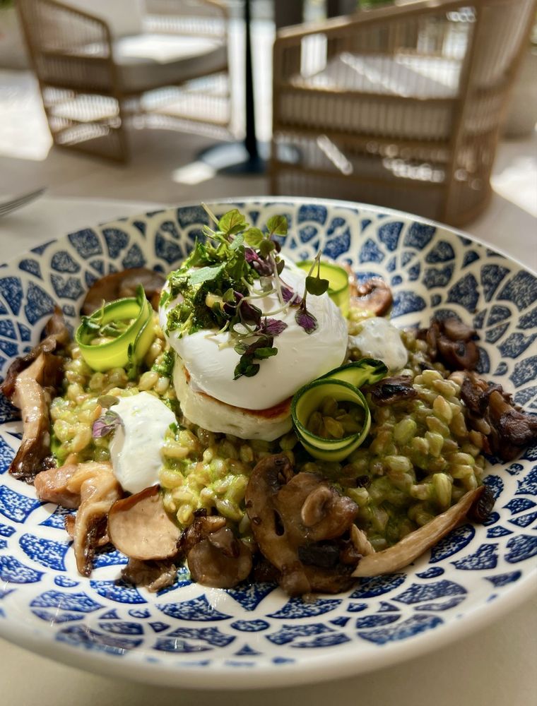 RIVA - Updated December 2025 - 25 Photos & 12 Reviews - 1601 Gulf Of ...