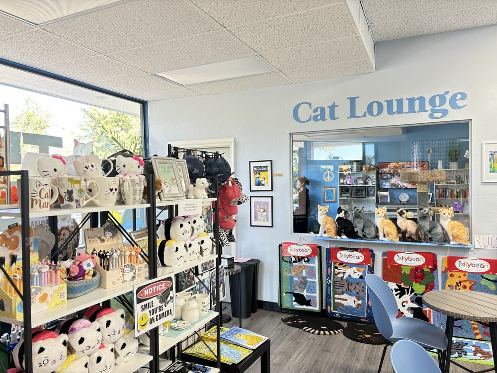 EUGENE SPRINGFIELD CAT LOUNGE - Updated December 2025 - 25 Photos & 14 ...