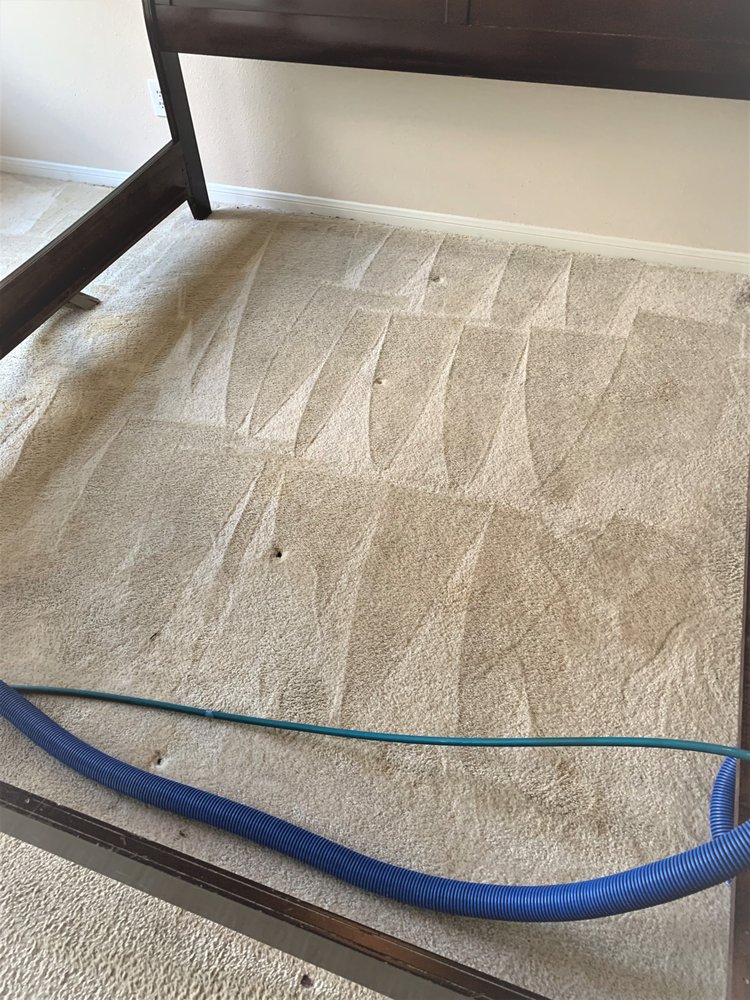 DYNAMIC CARPET CLEANING SOLUTIONS - Updated May 2025 - Request a Quote ...
