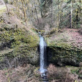 SILVER FALLS STATE PARK - 1500 Photos & 322 Reviews - 20024 Silver ...