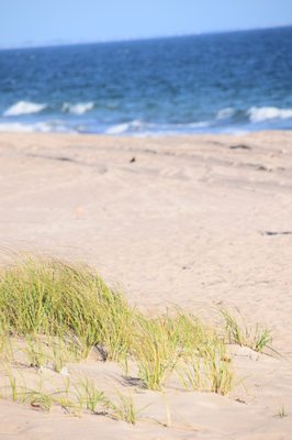 BLUE SHUTTERS TOWN BEACH - Updated November 2024 - 66 Photos & 25 ...