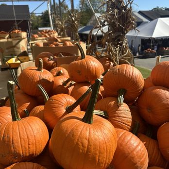 WEBER’S FARM - Updated October 2025 - 296 Photos & 164 Reviews - 2526 ...