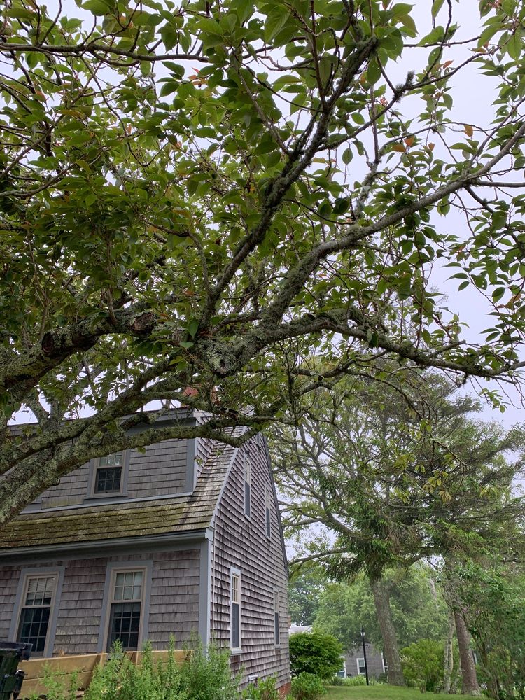 BOW ROOF HOUSE - Updated June 2024 - 59 Queen Anne Rd, Chatham ...