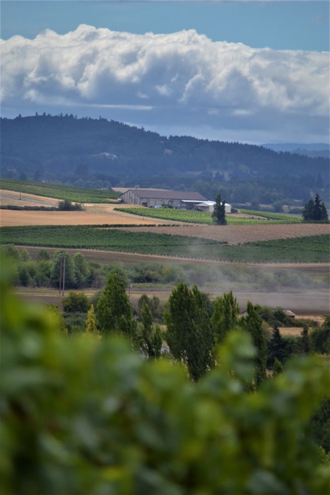 RAINSTORM WINERY - Updated October 2025 - 24 Photos - Rickreall, Oregon ...