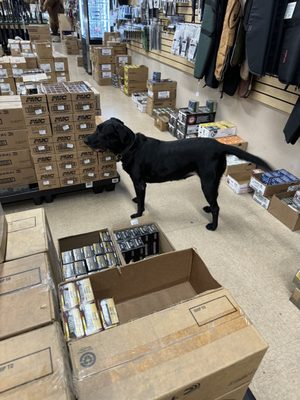 SO CAL GUN - Updated December 2025 - 31 Photos & 190 Reviews - 4891 ...