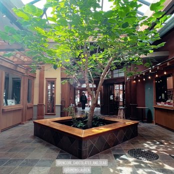 ENCORE CHOCOLATES AND TEAS - Updated November 2024 - 48 Photos & 73 ...