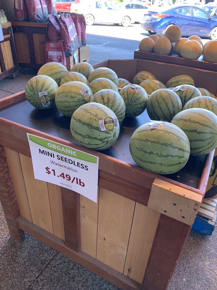 LIFESOURCE NATURAL FOODS - Updated December 2024 - 157 Photos & 106 ...