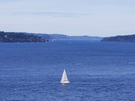 FIVE MILE DRIVE - 48 Photos & 17 Reviews - Parks - Five Mile Dr, Tacoma ...