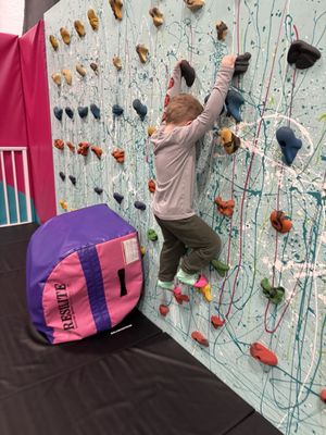 SHELL WE BOUNCE - Updated January 2026 - 85 Photos & 50 Reviews - 32295 ...