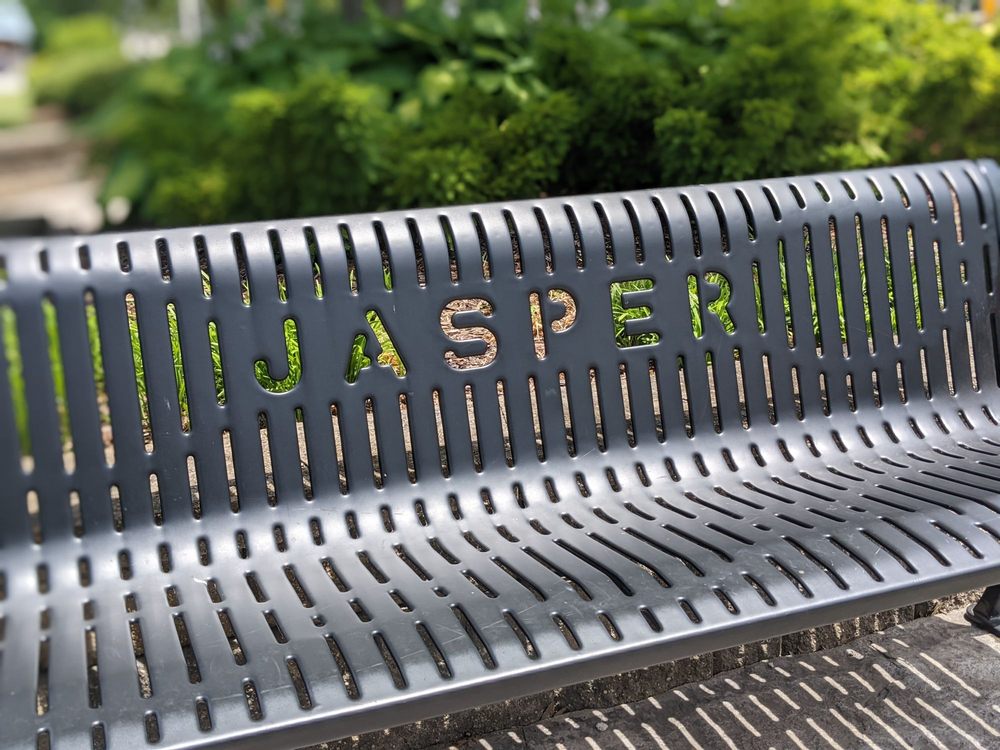 SPIRIT OF JASPER TRAIN - Updated December 2025 - 12 Photos - 201 Mill ...