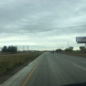 DAMBO TROLLS PROJECT 412 - Updated June 2025 - 22 Photos - 806 Summit ...