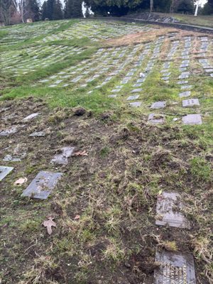 EVERGREEN WASHELLI FUNERAL HOME - Updated January 2026 - 62 Photos & 65 ...