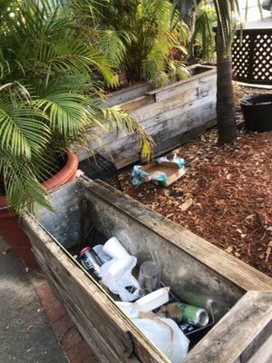 RUBY’S ELIXIR - 72 Photos & 89 Reviews - 15 3rd St N, St. Petersburg ...