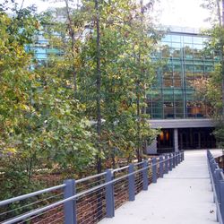 CARMAX - HOME OFFICE - 15 Photos & 21 Reviews - Used Car Dealers ...