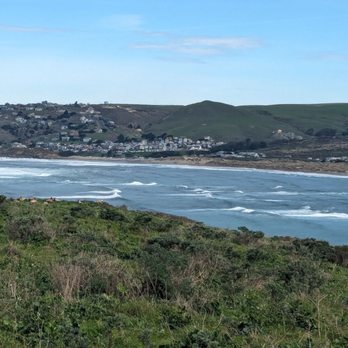 TOMALES POINT TRAIL - TULE ELK PRESERVE - Updated December 2025 - 948 ...