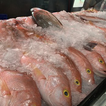 FRESH FLORIDA FISHERIES - Updated August 2025 - 515 Photos & 206 ...