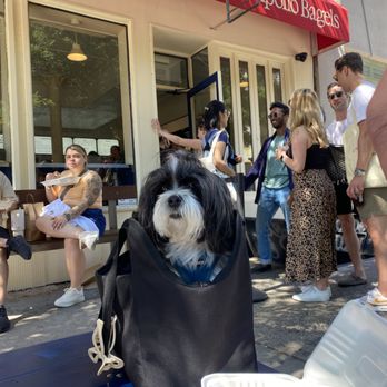 APOLLO BAGELS - Updated August 2024 - 196 Photos & 117 Reviews - 242 E ...