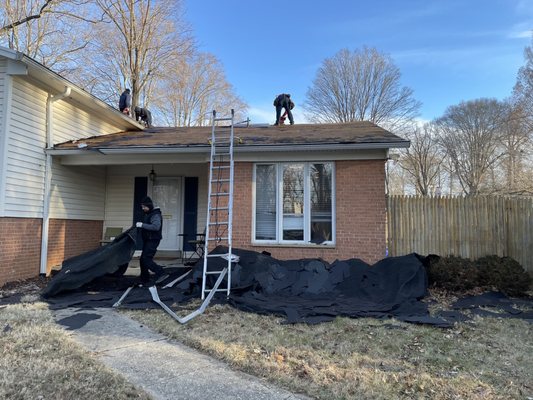 PANDA EXTERIORS - Updated October 2025 - 131 Photos & 34 Reviews ...