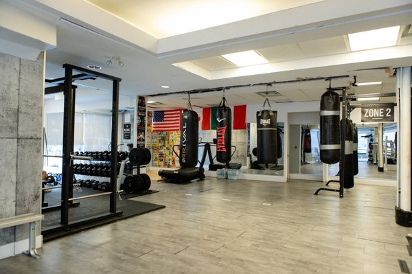 UNITED BOXING CLUB - Updated March 2024 - 10 Photos - 1034 Bloor Street ...