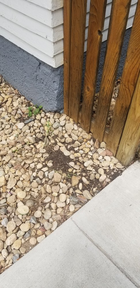 OLD TOWN LANDSCAPE - Updated August 2025 - Wellington, Colorado ...