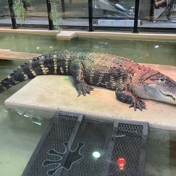 PHILLIPS PARK ZOO - Updated August 2024 - 233 Photos & 99 Reviews ...