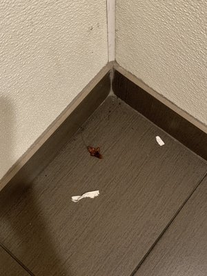 COMPLETE CARE COMMUNITY HEALTH CENTER - Updated December 2025 - 19 ...